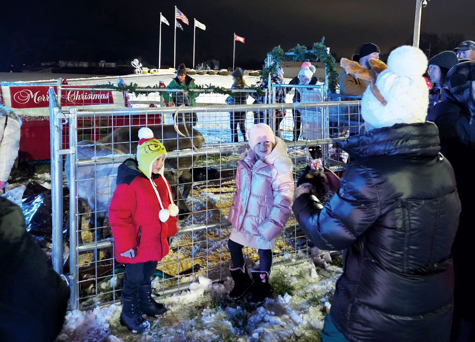 12-03-25-Vienna-Tree-3-tle | News, Sports, Jobs - News and Sentinel